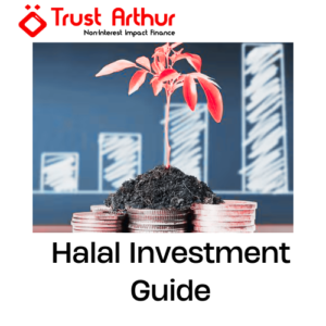 Beginner’s Guide to Halal Investing: A Detailed Step-by-Step Approach ...
